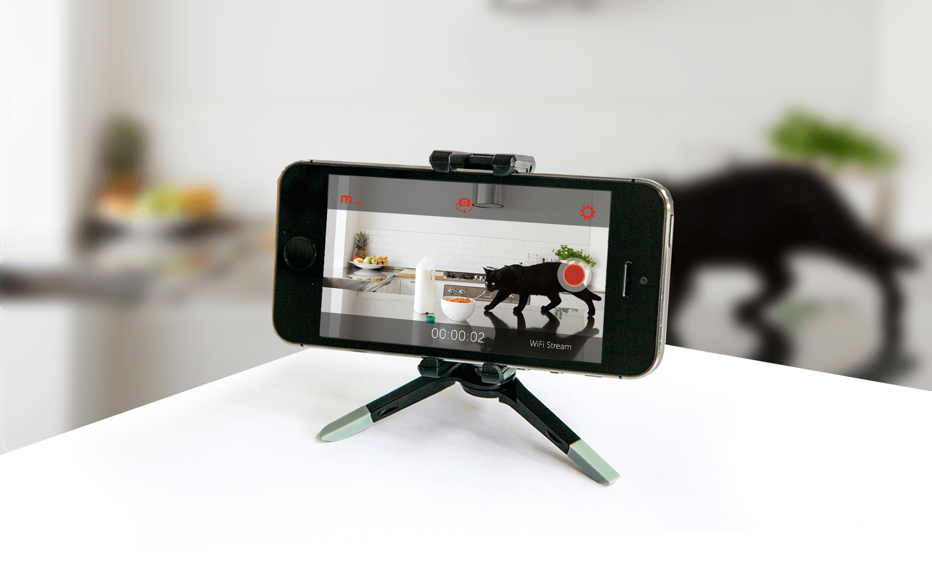 24 Essential Smart Home Projects for Beginners