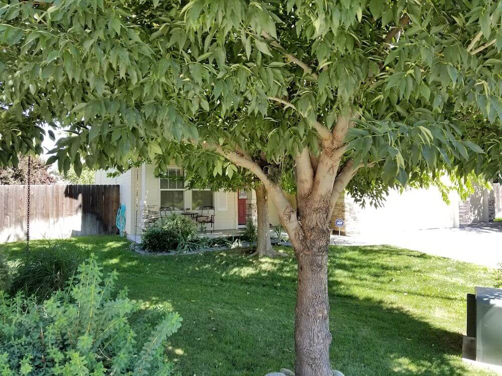 Arlo Outdoor Mount Options: Flexible Camouflage Skins and Mounts ...